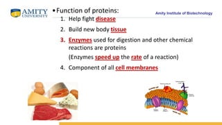 Protein structure; amino acids.pptx