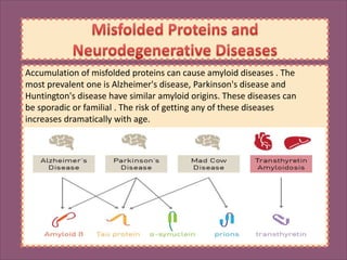 Protein structure and disease | PPTX