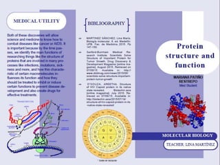 Protein structure and function | PPT