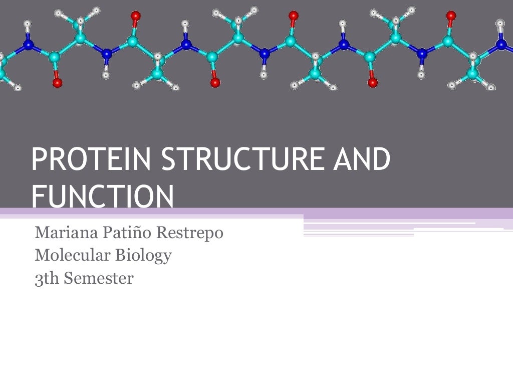 Protein structure and function