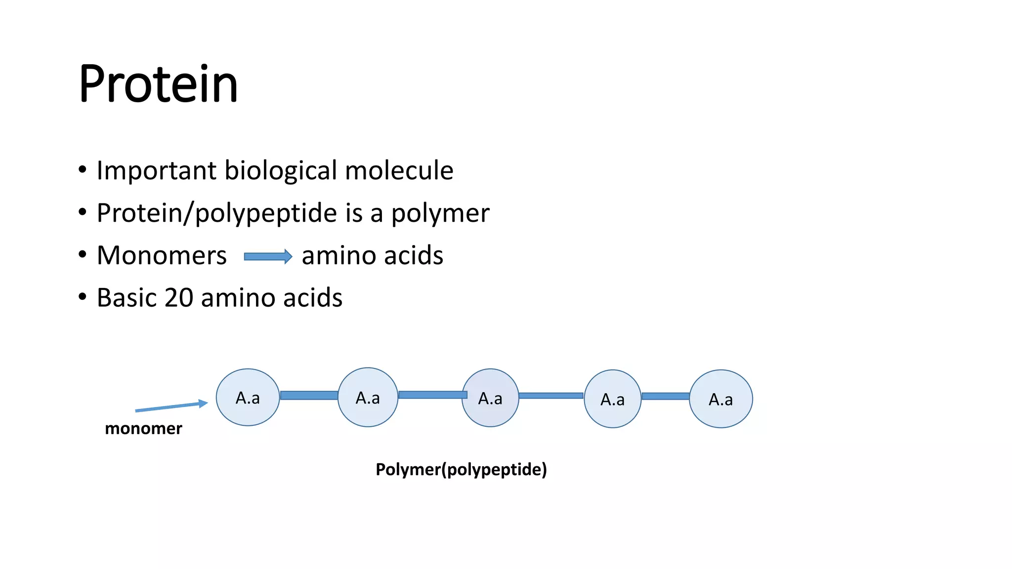 Protein structure and function | PPTX | Chemistry | Science