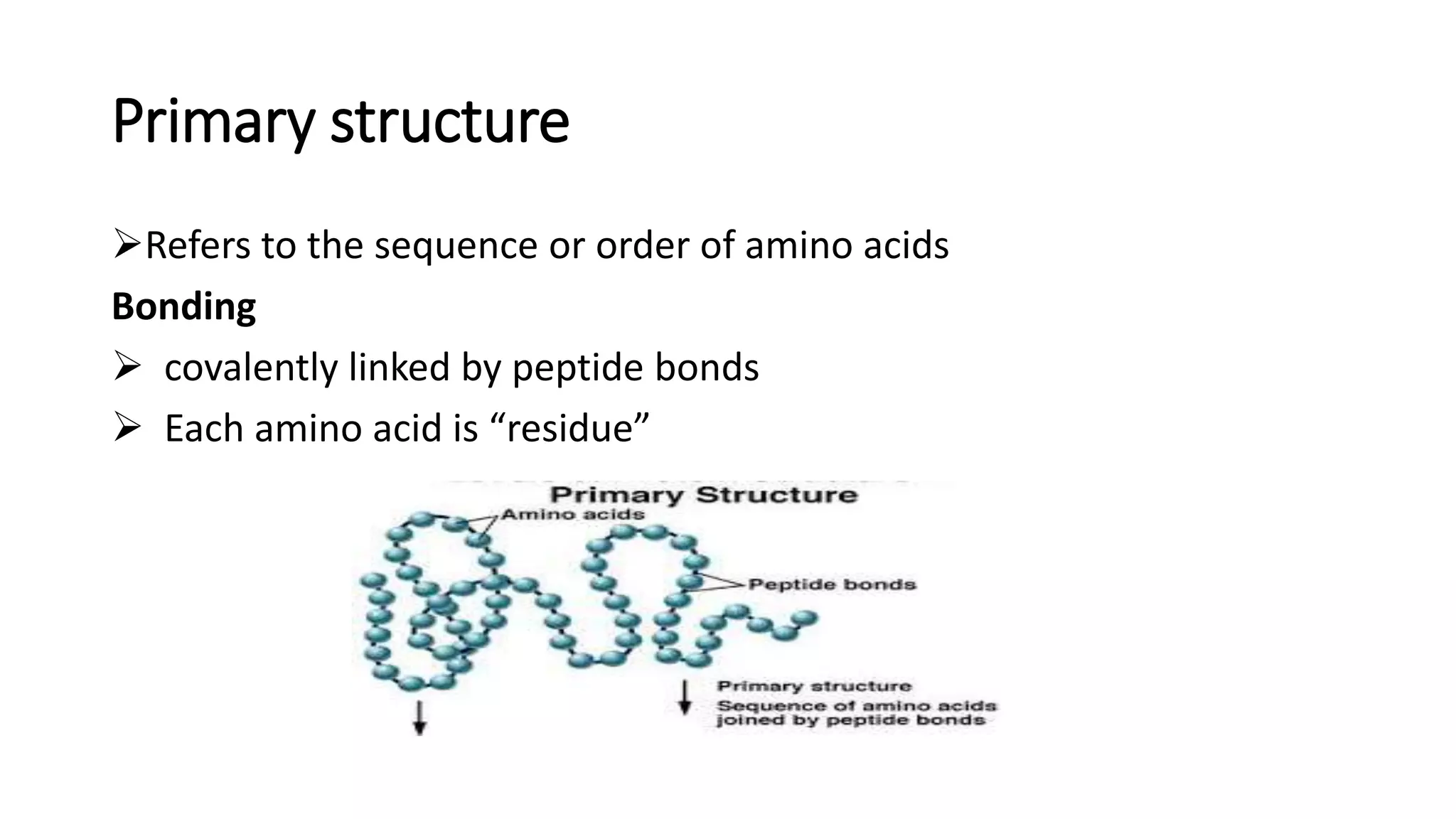 Protein structure and function | PPTX | Chemistry | Science