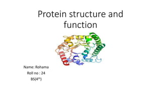 Protein structure and function | PPTX | Chemistry | Science