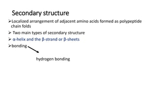 Protein structure and function | PPTX | Chemistry | Science