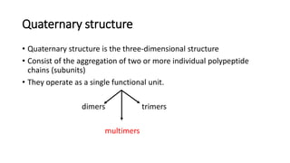Protein structure and function | PPTX | Chemistry | Science