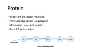 Protein structure and function | PPTX