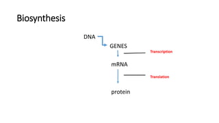 Protein structure and function | PPTX