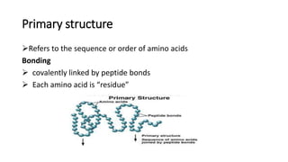 Protein structure and function | PPTX | Chemistry | Science