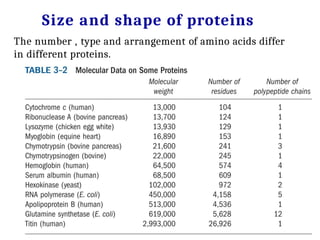 protein_structure_and_function in detail.pptx
