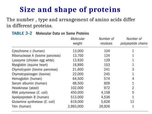 protein_structure_and_function in detail.pptx