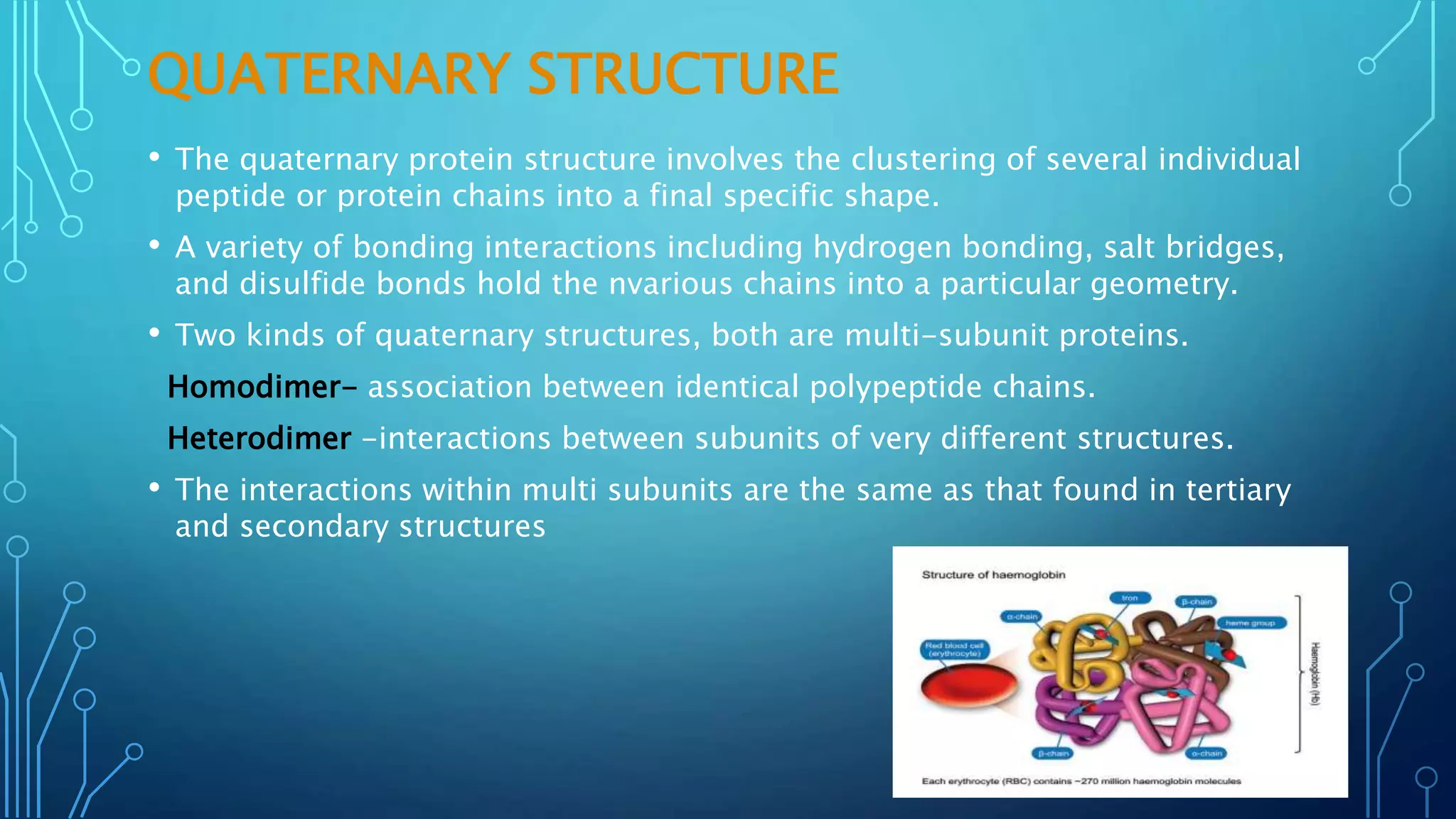 PROTEIN STRUCTURE AND FUNCTION PPT(MD MOBARAK HOSSAIN).pptx
