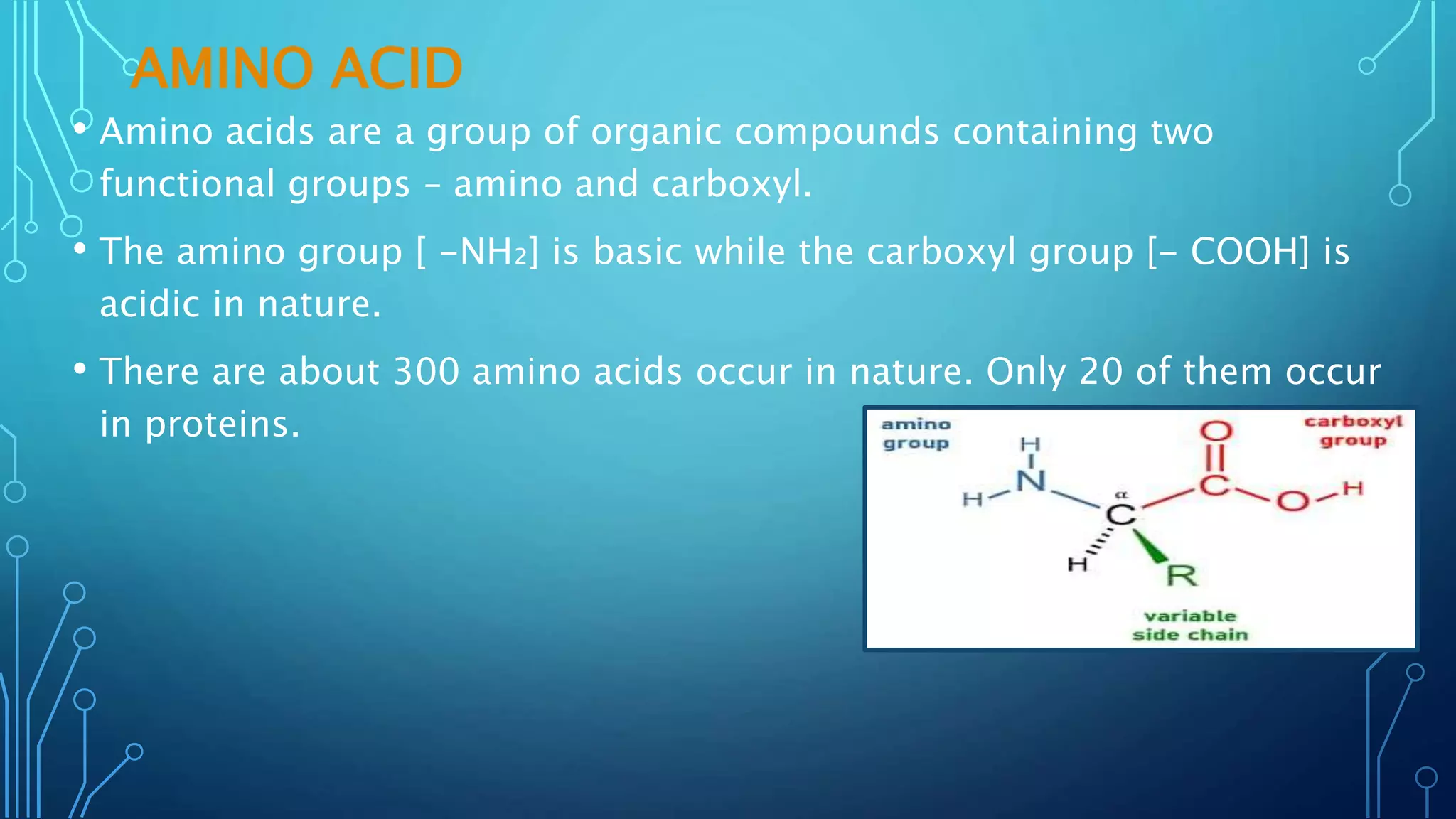 PROTEIN STRUCTURE AND FUNCTION PPT(MD MOBARAK HOSSAIN).pptx
