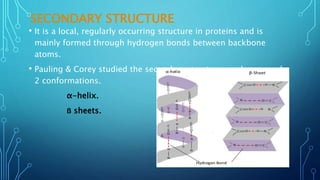 PROTEIN STRUCTURE AND FUNCTION PPT(MD MOBARAK HOSSAIN).pptx