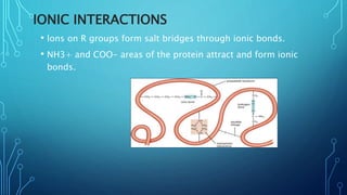 PROTEIN STRUCTURE AND FUNCTION PPT(MD MOBARAK HOSSAIN).pptx