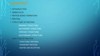 PROTEIN STRUCTURE AND FUNCTION PPT(MD MOBARAK HOSSAIN).pptx