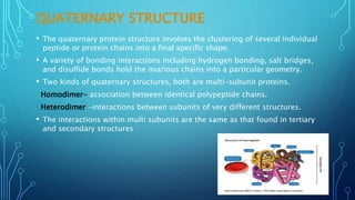 PROTEIN STRUCTURE AND FUNCTION PPT(MD MOBARAK HOSSAIN).pptx
