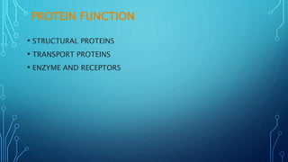 PROTEIN STRUCTURE AND FUNCTION PPT(MD MOBARAK HOSSAIN).pptx