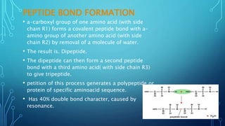 PROTEIN STRUCTURE AND FUNCTION PPT(MD MOBARAK HOSSAIN).pptx
