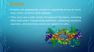 PROTEIN STRUCTURE AND FUNCTION PPT(MD MOBARAK HOSSAIN).pptx