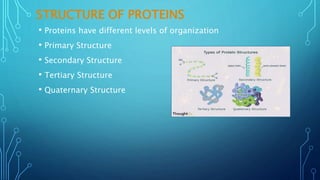 PROTEIN STRUCTURE AND FUNCTION PPT(MD MOBARAK HOSSAIN).pptx