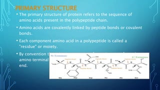PROTEIN STRUCTURE AND FUNCTION PPT(MD MOBARAK HOSSAIN).pptx