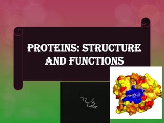 protein_structure_and_function_pptx.pdf chemistry | PPT