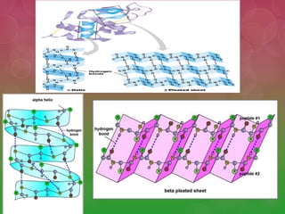 protein_structure_and_function_pptx.pdf chemistry | PPT