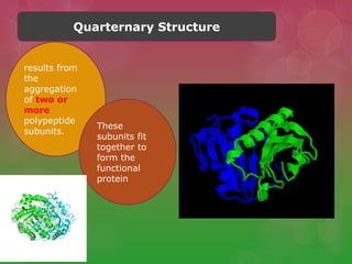 protein_structure_and_function_pptx.pdf chemistry | PPT