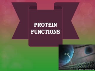 protein_structure_and_function_pptx.pdf chemistry | PPT