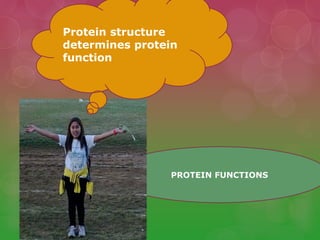 protein_structure_and_function_pptx.pdf chemistry | PPT