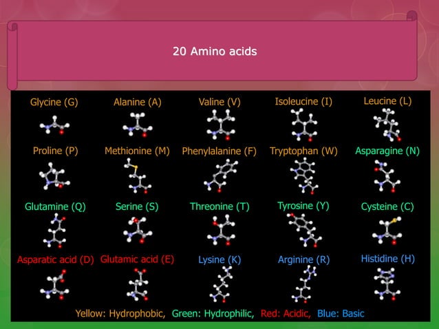protein_structure_and_function_pptx.pdf chemistry | PPT