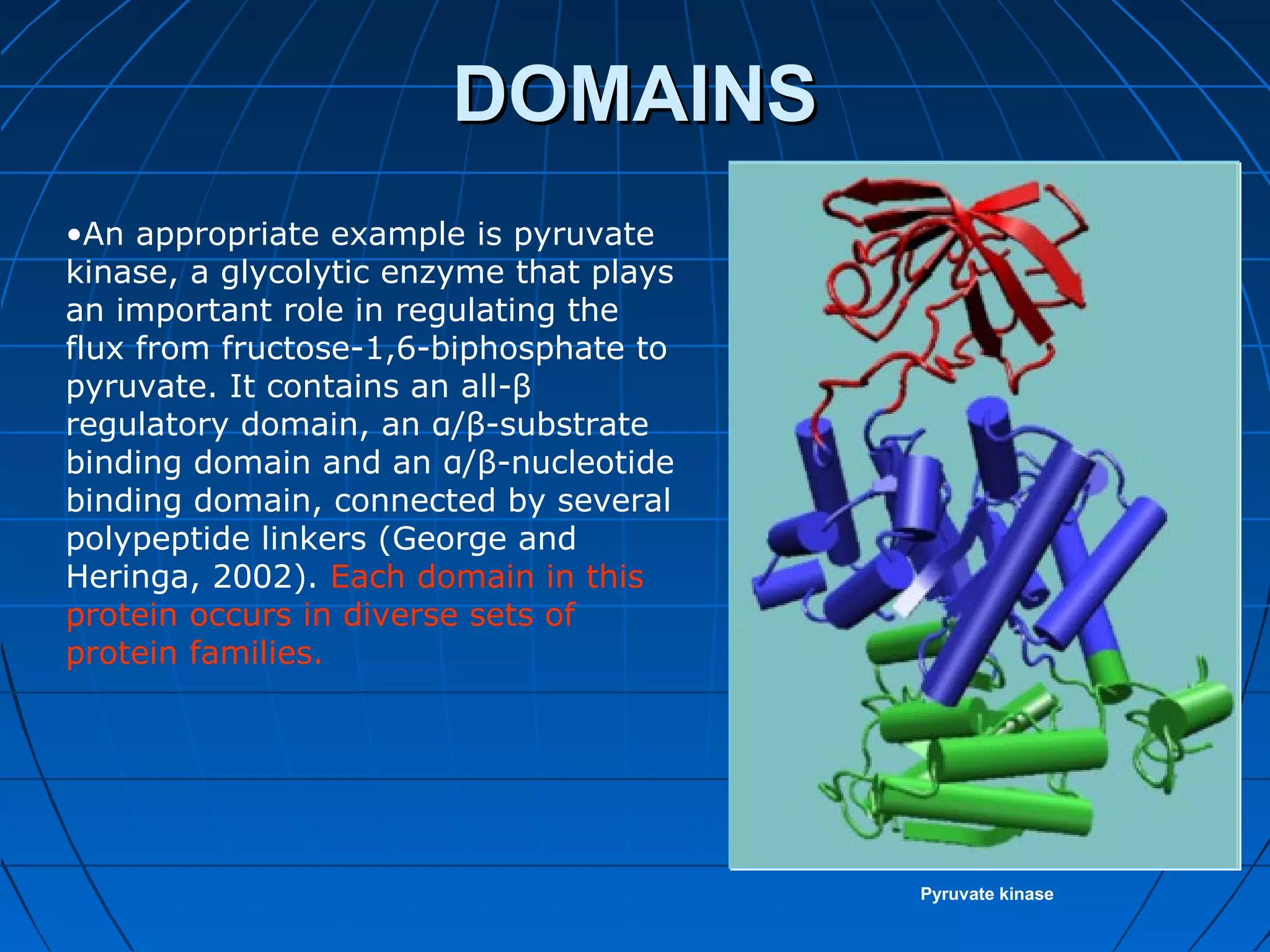 Protein Structure and Function | PPT