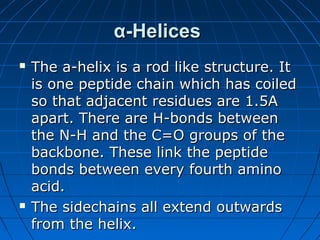 Protein Structure and Function | PPT