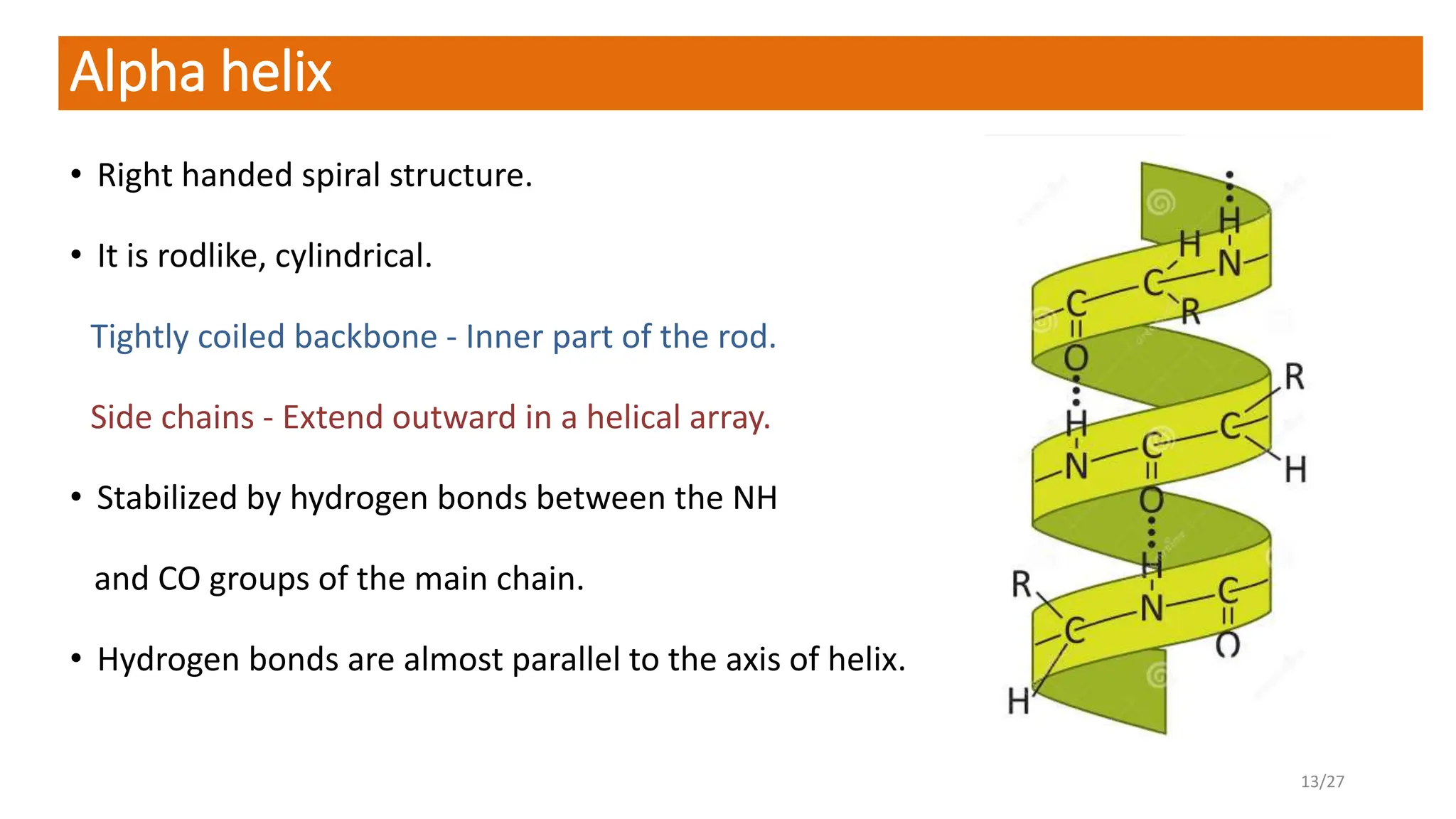 Protein structure and functions. Pptx.... | PPTX