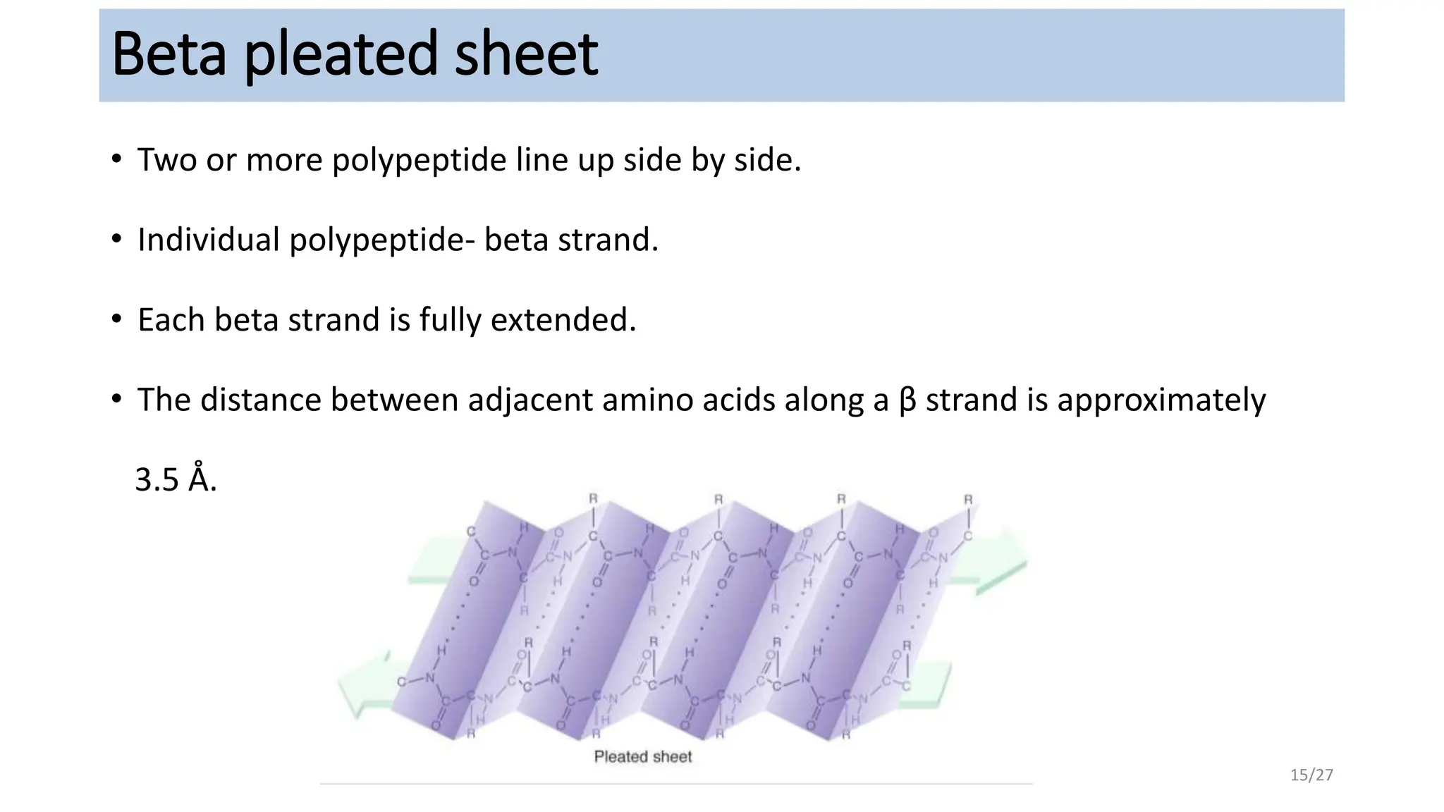 Protein structure and functions. Pptx.... | PPTX