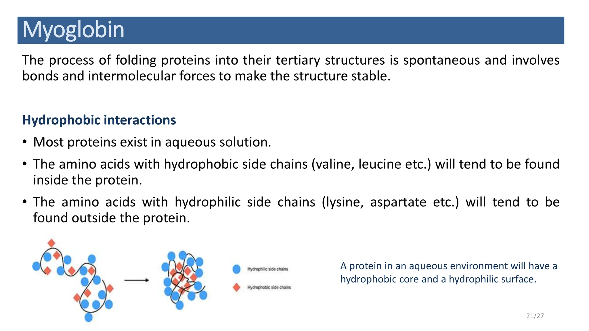 Protein structure and functions. Pptx.... | PPTX