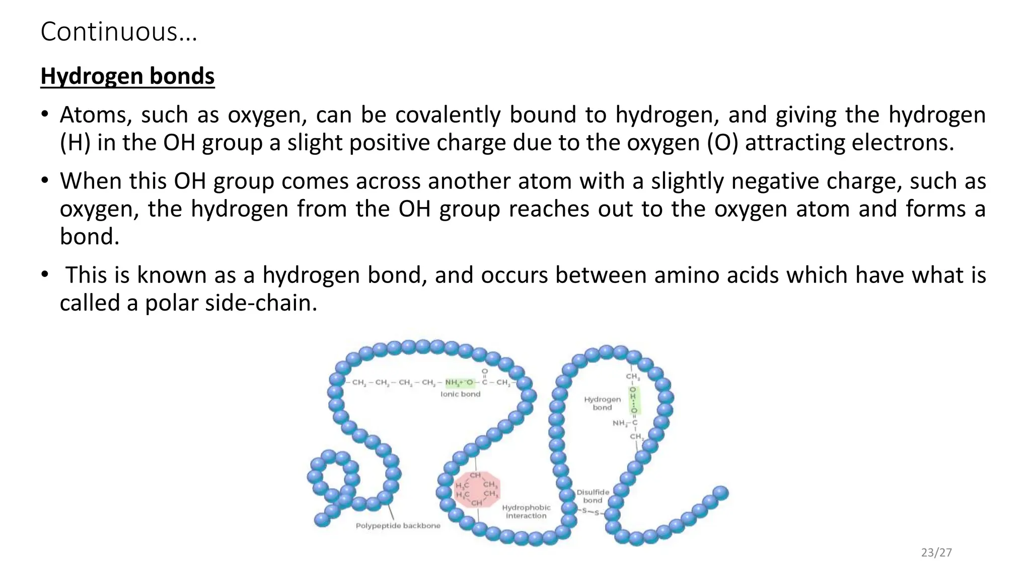 Protein structure and functions. Pptx.... | PPTX