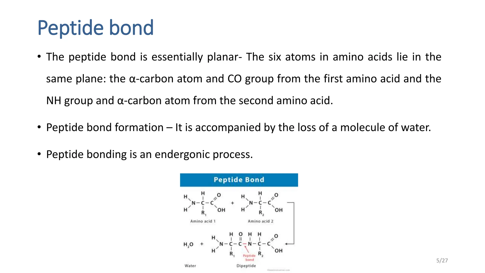 Protein structure and functions. Pptx.... | PPTX