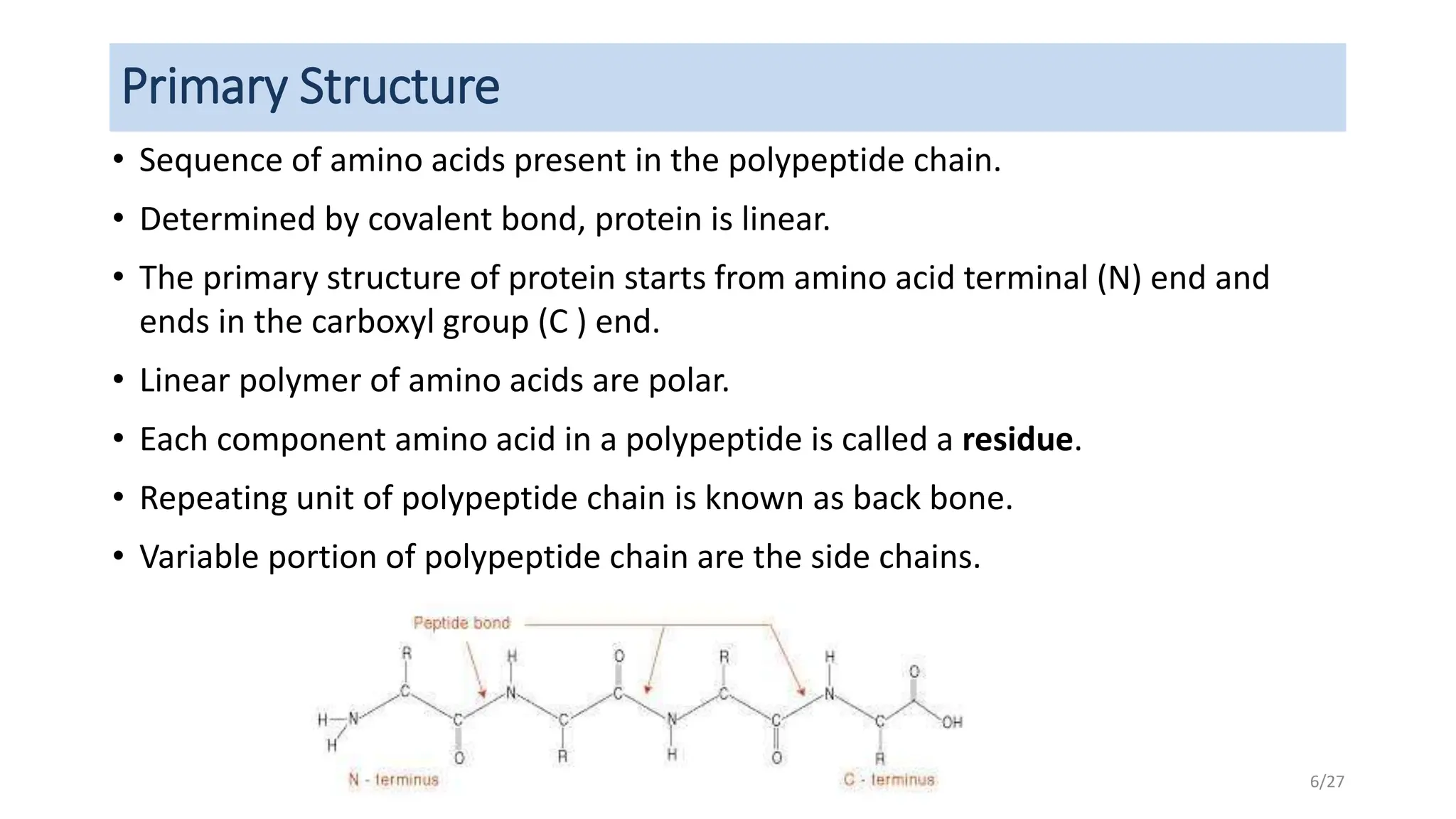 Protein structure and functions. Pptx.... | PPTX