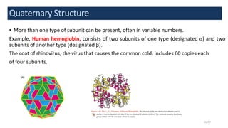 Protein structure and functions. Pptx.... | PPTX