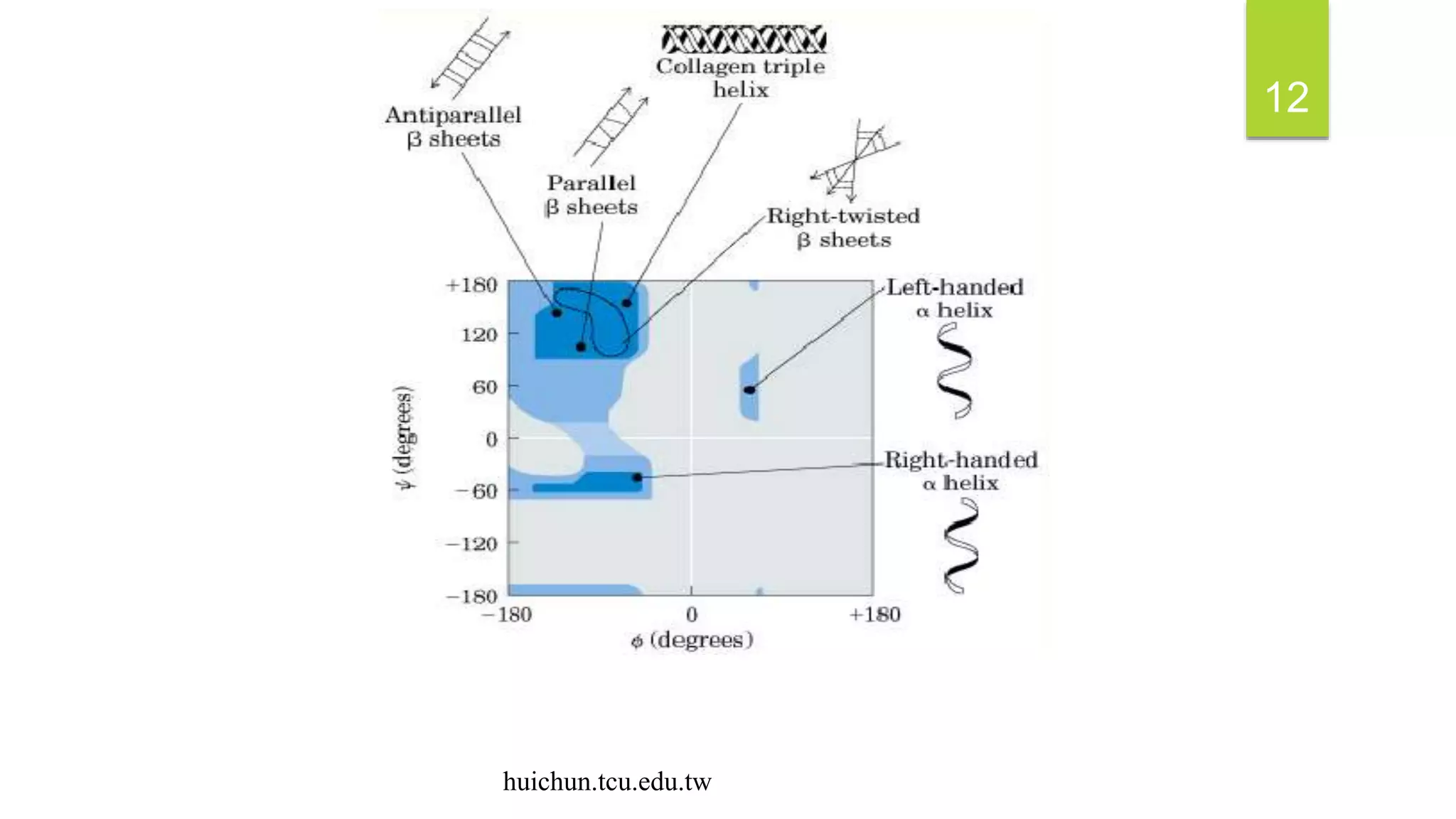 Protein structure and ramachandran plot | PPT