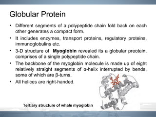 Protein structure and_stability-1 | PPT