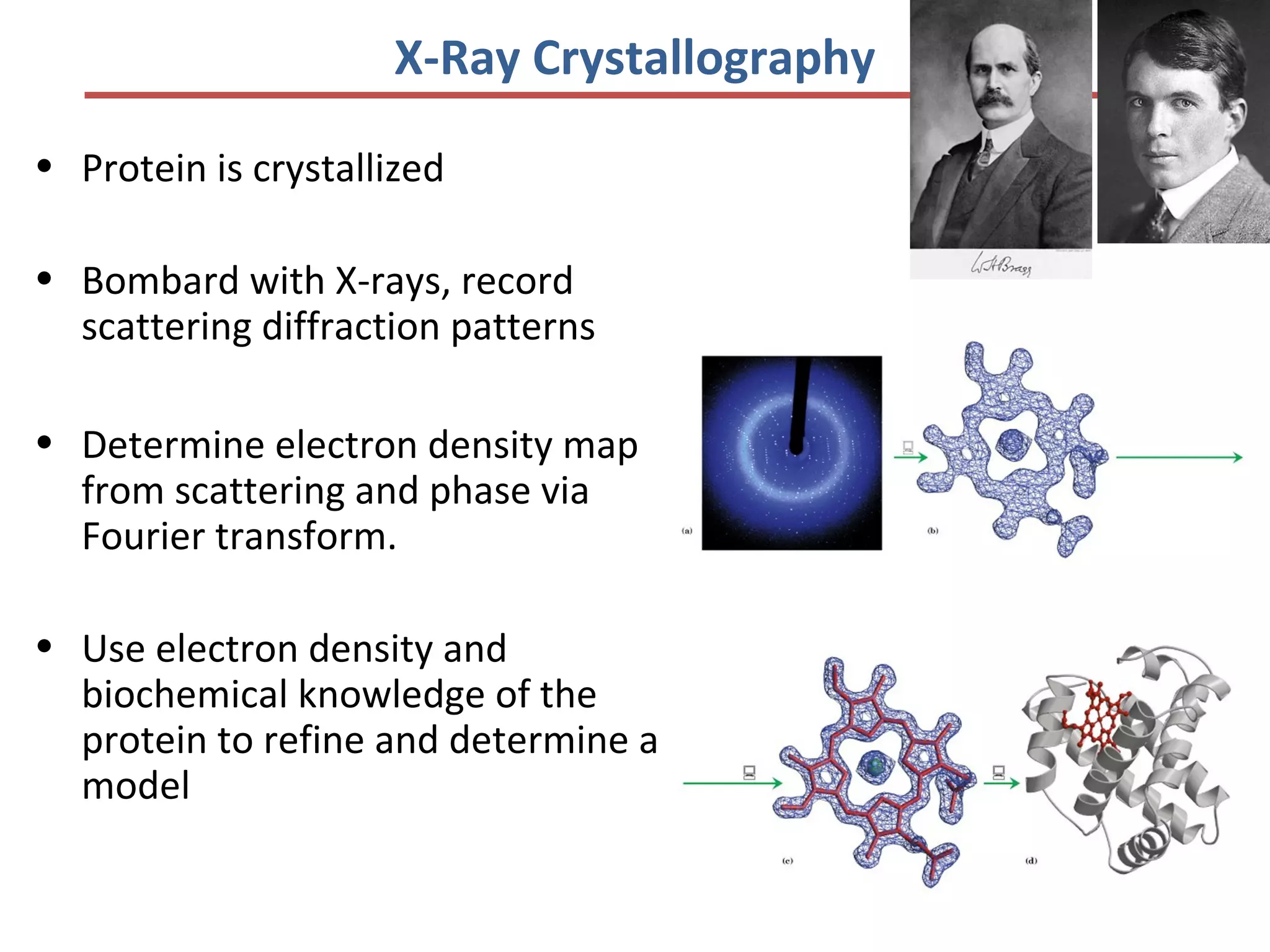Protein structure Lecture for M Sc biology students | PPT