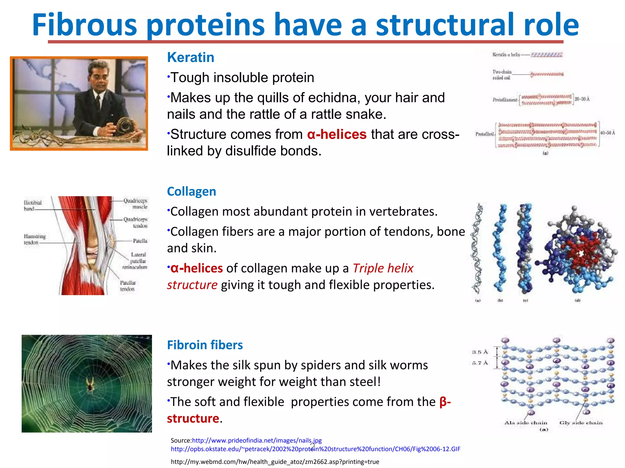 Protein structure Lecture for M Sc biology students | PPT