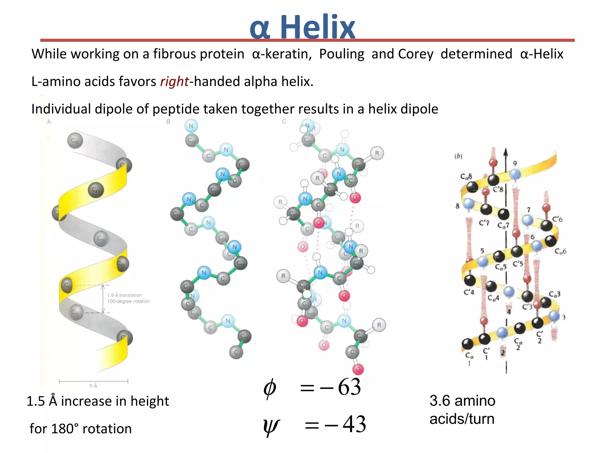 Protein structure Lecture for M Sc biology students | PPT
