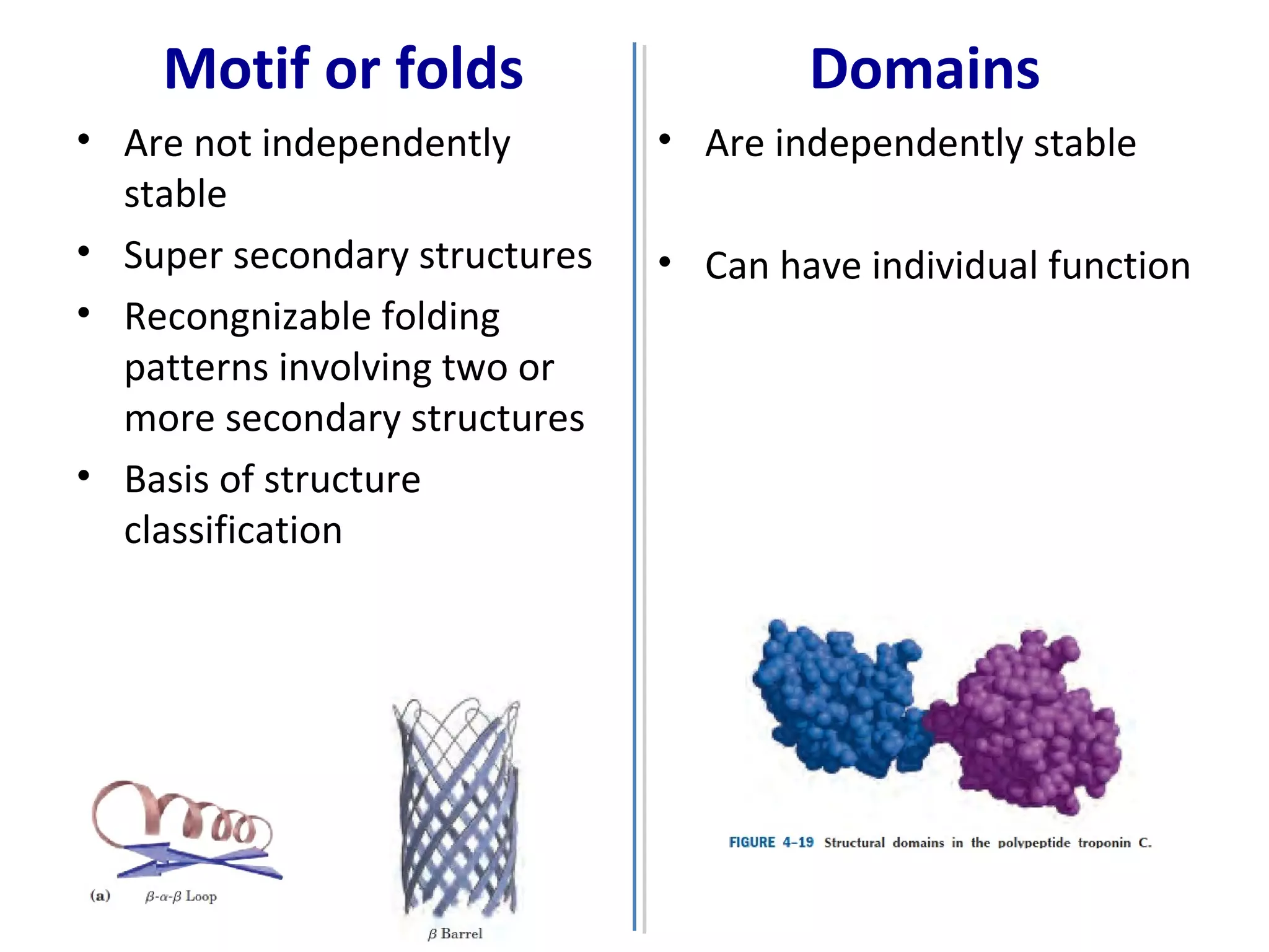 Protein structure Lecture for M Sc biology students | PPT