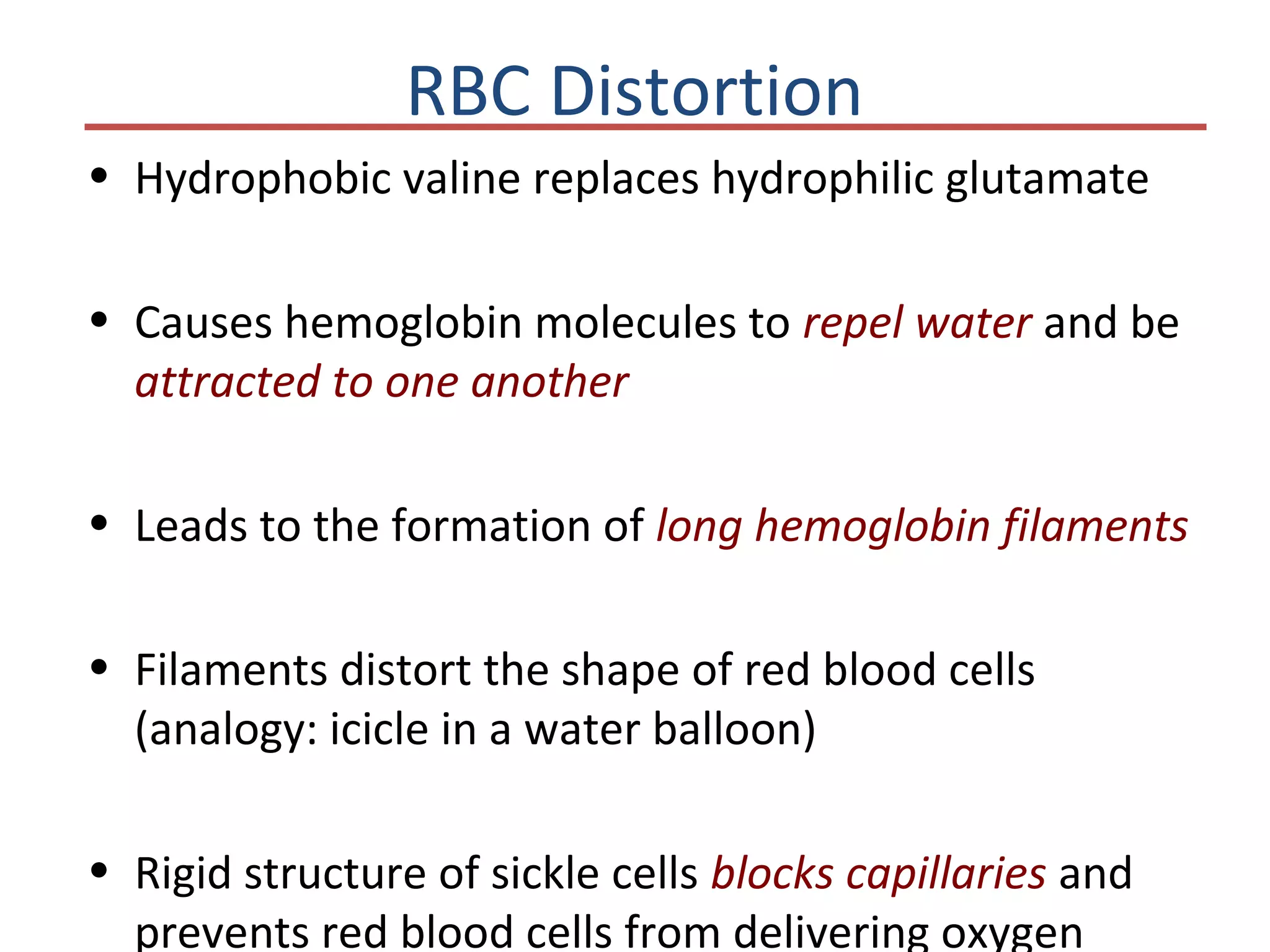 Protein structure Lecture for M Sc biology students | PPT