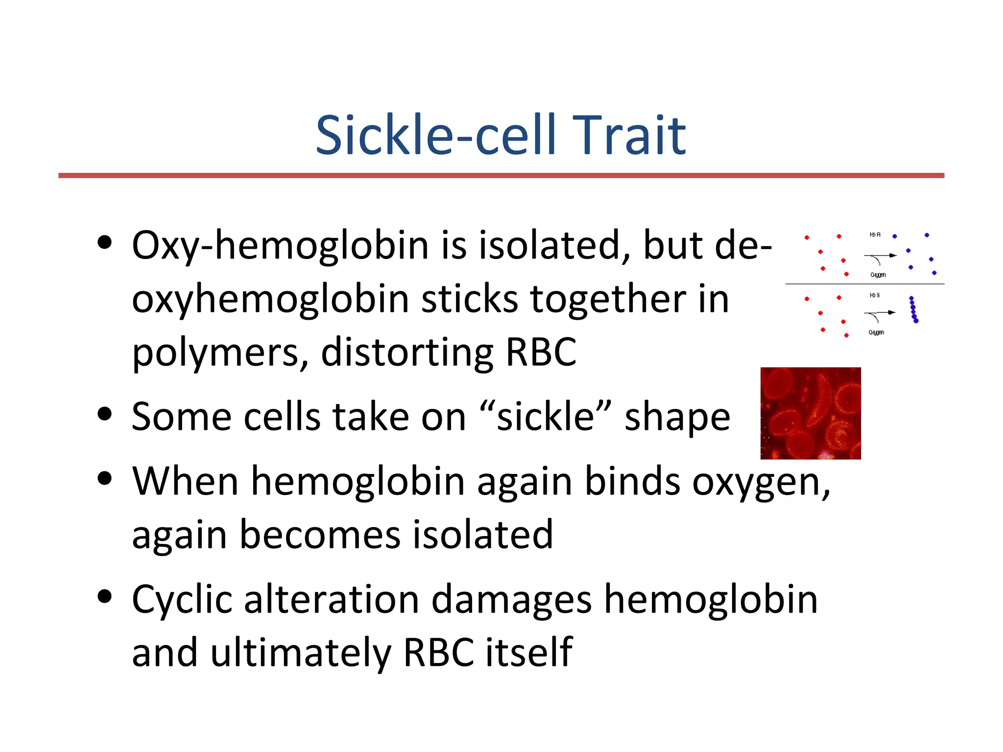 Protein structure Lecture for M Sc biology students | PPT