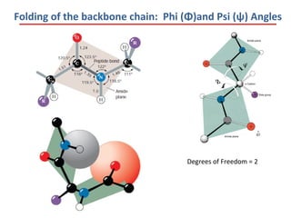Protein structure Lecture for M Sc biology students | PPT