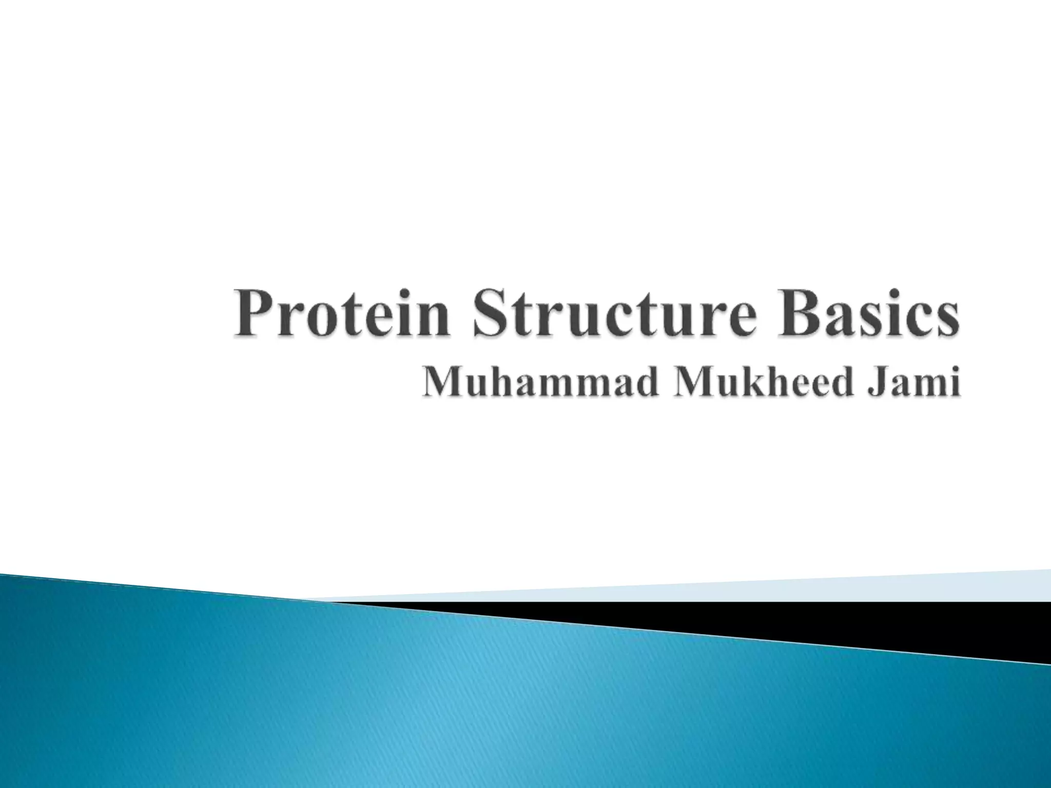 Protein structure basics | PPT